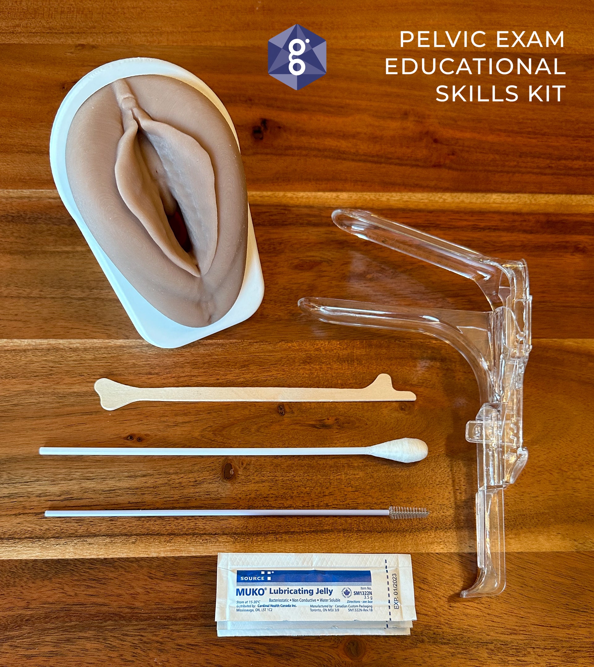 Pelvic Exam :: Educational Skills Kit – Granville Biomedical Inc.
